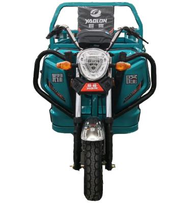 China Elder Pedal Assisted 3.1m*1m Electric Cargo Tricycle for sale