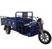 China 1000w 0.6 Ton Electric 3 Wheel Cargo Motorcycle for sale