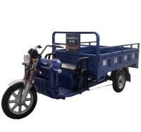 China Pedal 15 Degree 1000w Cargo Tricycle Bicycle for sale