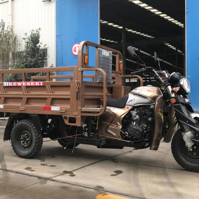 China Hybrid Special Transport 65km/H 150CC Cargo Tricycle for sale