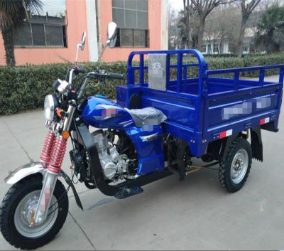 China Gas Adult 300kg 12V 18A Cargo Tricycle Motorcycle for sale