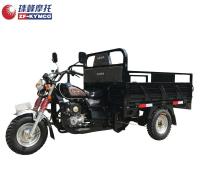 China 1 Ton Passenger 70km/H 150cc Engine Petrol Tricycle for sale