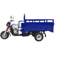 China Petrol Three Wheeler 150cc 175cc Loading Tricycle Rickshaw for sale