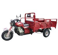 China Motorized Lift 3 Wheel 250CC Cargo Tricycle for sale