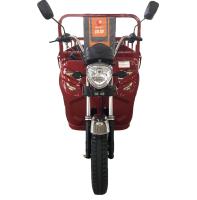 China Pedal 1.0m*3.1m 110cc 3 Wheel Trike Moped for sale