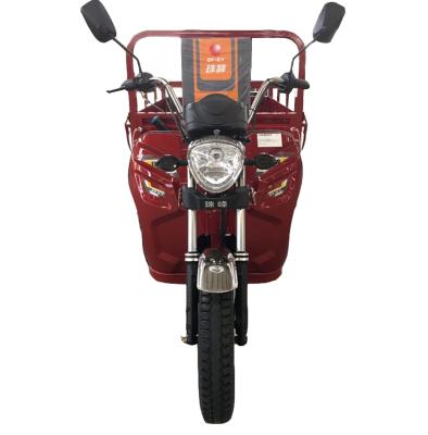China Pedal 1.0m*3.1m 110cc 3 Wheel Trike Moped for sale