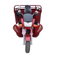 China 2t Load Open 70km/H Cargo 250cc Petrol Tricycle for sale