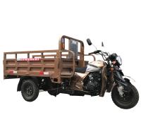 China 65km/H Gasoline Tricycle for sale