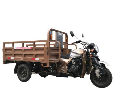 China 65km/H Gasoline Tricycle for sale