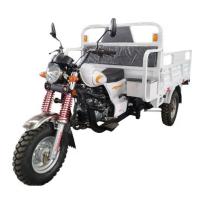 China 150cc 3 Wheel Cargo Motorcycle for sale