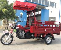 China Rickshaw 1.8m*1.2m 175cc 3 Wheel Petrol Tricycle for sale