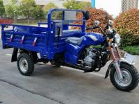 China 800W 3 Wheel Cargo Motorcycle for sale