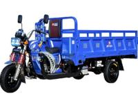 China Engine 200CC 3 Wheeler Gas Motorized Tricycle for sale