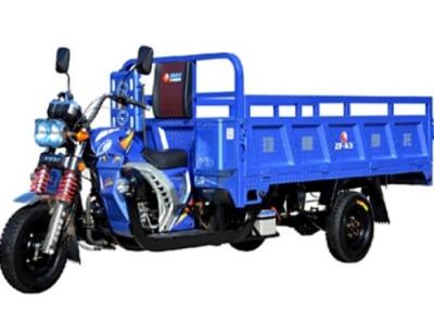 China Engine 200CC 3 Wheeler Gas Motorized Tricycle for sale