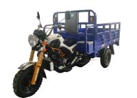 China Three Wheel Petrol 350kg 250CC Cargo Tricycle for sale