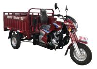 China Motorcycle 50 Shock 250cc Three Wheel Trike Bicycle for sale