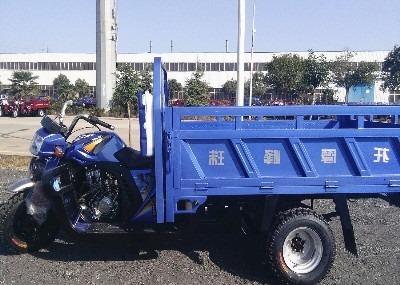 China Gasoline Oil Pressure Disc 250CC Cargo Tricycle for sale