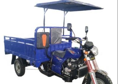 China 65000m/H 250cc 3 Wheel Motorbike With Roof for sale