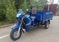 China Egypr 3 Wheel Gasoline Motorcycle 200CC Cargo Tricycle for sale