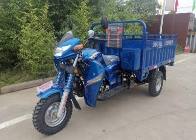 China Egypr 3 Wheel Gasoline Motorcycle 200CC Cargo Tricycle for sale