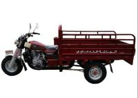 China Wind Cooled Adult 1.2*1.8m 200CC Cargo Tricycle for sale