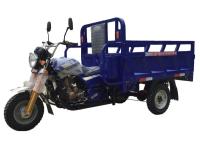 China 1000kg Benin Nigeria Petrol 150CC Cargo Tricycle for sale
