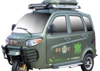 China 3 Wheel Electric Rickshaw 50km/H Motorized Passenger Tricycle for sale