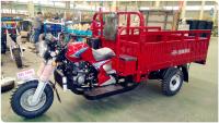 China 60KM/H 200CC 250CC 300CC Petrol Tricycle Double Water Cooled for sale