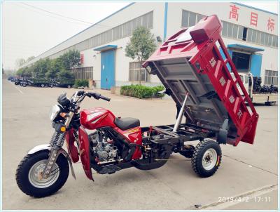 China Drumbrake Hydraulic Dump 200CC Cargo Tricycle 150CC 175CC for sale