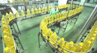 China olive oil filling machine,oil filling machine,vegetable oil filling machine for sale