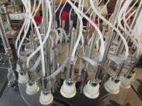 China Small Capacity Automatic PET Bottle Drinking Water Filling Machinery for sale