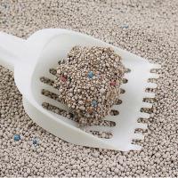 China Natural Bentonite Cat Litter - Dust Free Ball Type with Super Absorbency and Fast Clumping for Effective Odor Control for sale