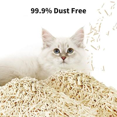 China Starhong Tofu Cat Litter - Natural Plant Fiber with White Tea Scent, 6 Color Options & 4 Packaging Types for sale