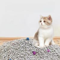 China Spherical Bentonite Cat Litter 10 kg Dust Free Fast Clumping Odor Control Natural Clay for sale