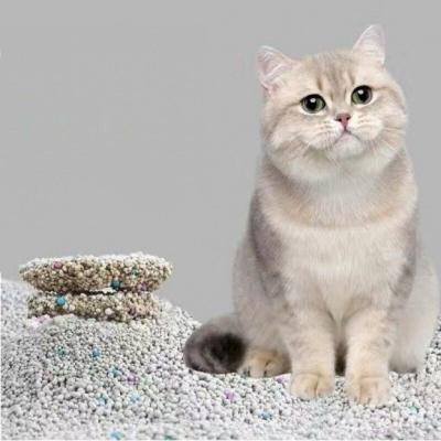 China Spherical Bentonite Cat Litter 5mm Dust Free Odor Control Clumping Natural Clay Grey for sale