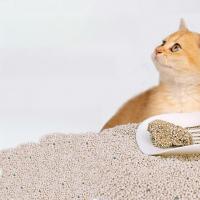 China Spherical Bentonite Cat Litter 0.8-3.8mm Natural Clay Odor Control Strong Clumping Biodegradable OEM ODM for sale