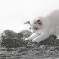 China Ore Cat Litter Grey Dustless Clumping - Easy Scooping Natural Material with Ultra Absorbency and Strong Odor Control for sale