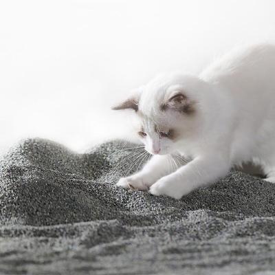 China Ore Cat Litter Grey Dustless Clumping - Easy Scooping Natural Material with Ultra Absorbency and Strong Odor Control for sale