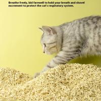 China Natural Plant Tofu Cat Litter 6L Biodegradable Clumping Sand - Dust-Free Eco-Friendly Pet Accessory for sale