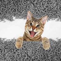 China Activated Carbon Tofu Cat Litter 1.5mm Strip Type with Strong Odor Control and High Absorbency for Multiple Cats for sale