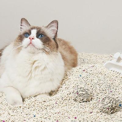 China Bentonite and Tofu Mixed Cat Litter 2.5kg Double Absorption Clumping Dust-Free Eco-Friendly Pet Supply for sale