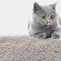 China Natural Bentonite Cat Litter 0.8-3.5mm Odor Lock Dust Free Clumping Premium Multi-Cat OEM for sale