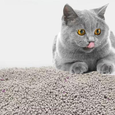 China Natural Bentonite Cat Litter 0.8-3.5mm Odor Lock Dust Free Clumping Premium Multi-Cat OEM for sale
