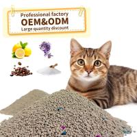China Factory Direct White Bentonite Cat Litter 10L Strong Clumping Odor Control Easy Clean for sale