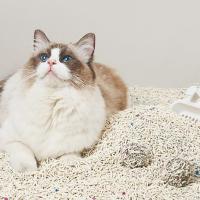 China Wholesale OEM ODM Tofu Mix Bentonite Cat Litter 100% Natural Biodegradable Flushable Clumping for sale