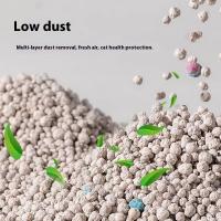 China 100% Natural Bentonite Cat Litter 0.8-3.5mm Strong Clumping Odor Lock Dust-Free Eco-Friendly for sale