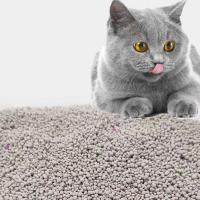 China BSCI Eco-Friendly Bentonite Cat Litter 0.8-3.5mm Bulk Clumping Dust-Free Odor Control for sale