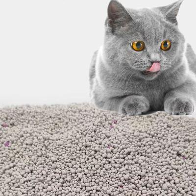 China BSCI Eco-Friendly Bentonite Cat Litter 0.8-3.5mm Bulk Clumping Dust-Free Odor Control for sale