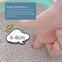 China Bentonite Cat Litter 0.8-3.5mm Natural Clumping Low Dust Multi-Cat Odor Control for sale