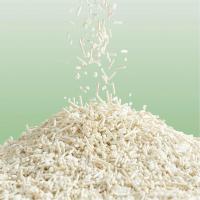 China Eco Friendly Clumping Tofu Cassava Mixed Cat Litter 2mm Strip Strong Water Absorption for sale